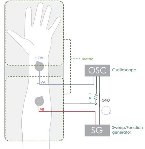 Experimental Setup For Skin To Electrode Impedance Measurement Download Scientific Diagram