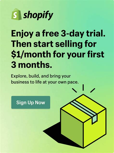 How To Minify Css In Shopify 10 Tips To Improve Store Loading Time