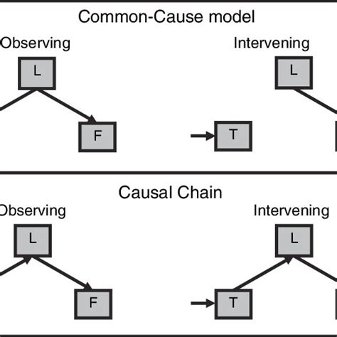 Pdf Causal Reasoning In Rats