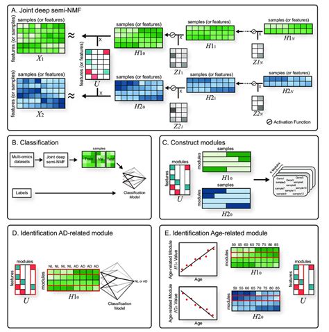 Joint Deep Semi Nmf Jdsnmf Overview And Downstream Analyses A