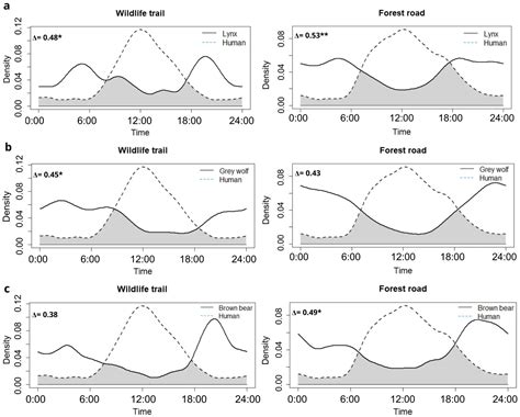 Temporal Overlap Of Human And Apex Predator Activity On Wildlife Trails And Forest Roads
