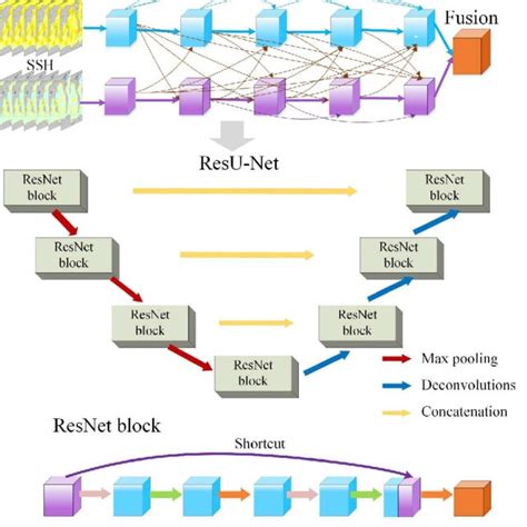 schematic representation of the denseu net model download scientific