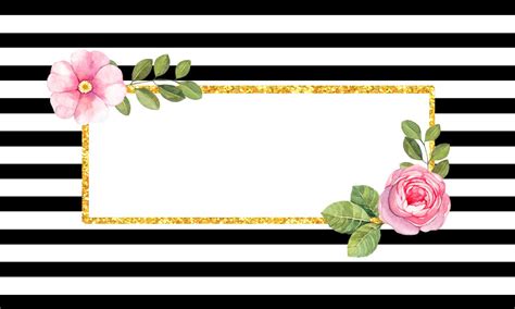 Double Sided Histogram Maker Free Forcedase