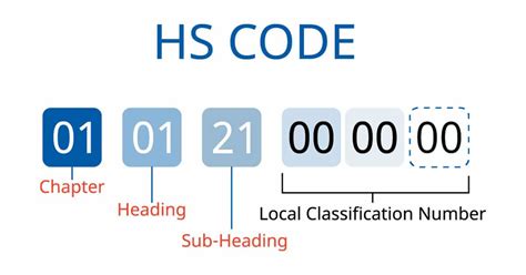 Understanding Hs Codes Everything You Need To Know 🌐 Gerlach Customs