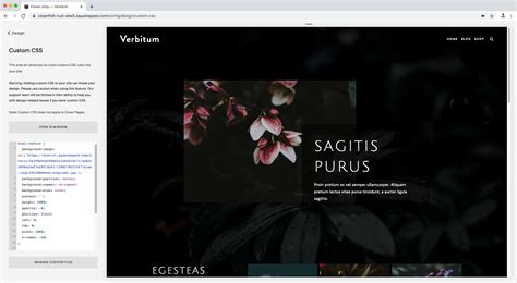 Adding A Fixed Background To Your Squarespace Site • Beatriz Caraballo