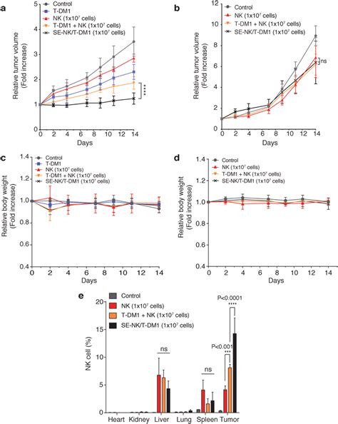 Se Nkt Dm1 Cells Exhibit Superior Anticancer Efficacy Against Her 2