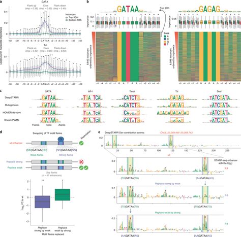 Contribution Of Tf Motifs Depends On The Flanking Sequence A Download Scientific Diagram