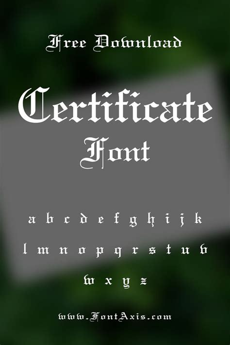 Certificate Font In 2025 Typography Fonts Wedding Fonts Vintage Fonts