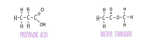 Introduction To Organic Chemistry Gcse — The Science Sauce