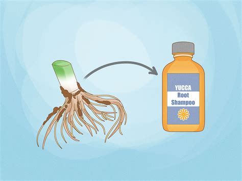 Cassava Vs Yucca Heres How Theyre Different