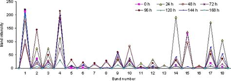 Graphical Analysis Of Band Numbers And Their Respective Intensities Download Scientific Diagram