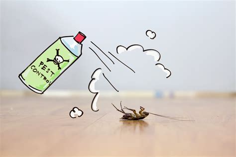 Exterminators Vs Pest Control What S The Difference