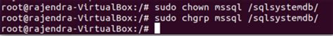Move SQL Server System Databases On Linux