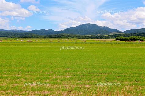 牧草栽培マニュアル 北海道 牧草の種の蒔き方 Yvkt