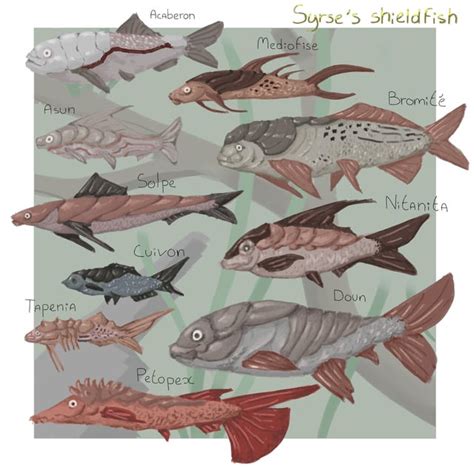 Spear Proof Fish Extreme Case Of Convergent Evolution R