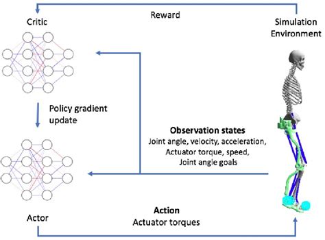 Figure 3 1 From A Lower Body Exoskeleton Simulation And Control Framework Based On Deep