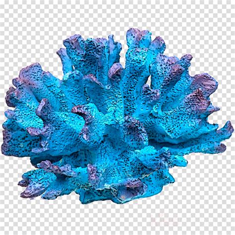 Coral Reef Clipart Stony Corals Coral Reef Aquarium Free