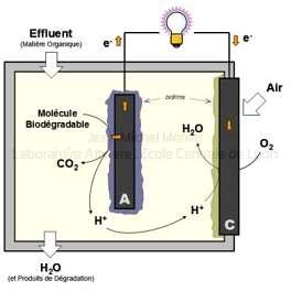 Benefits Of Microbial Fuel Cell UKEssays Com