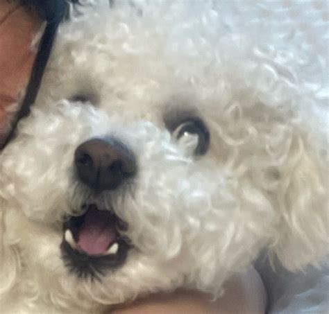 Nextjs Getstaticprops는 페이지 컴포넌트에서만 동작한다