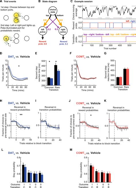 Effects Of Dat Blockade And Comt Inhibition On Performance During A
