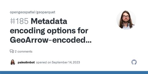 Metadata Encoding Options For Geoarrow Encoded Columns In Geoparquet Metadata · Issue 185
