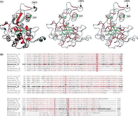 Sequence Comparisons And Homology Modeling A A Homology Model Was Download Scientific