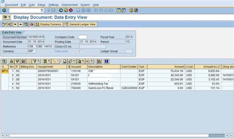 Sap Fico Central Payment Order Configuration