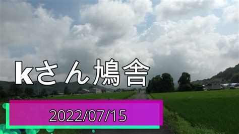 kさん鳩舎 2022年7月15日 YouTube