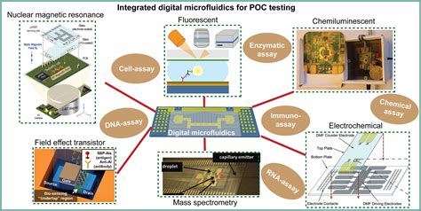 Digital Microfluidics Yuqian Zhang张玉倩