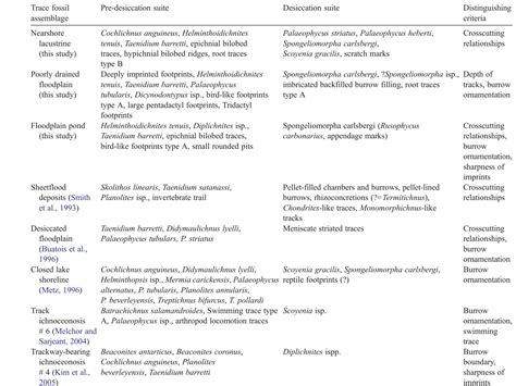 Examples Of Trace Fossil Assemblages That Display