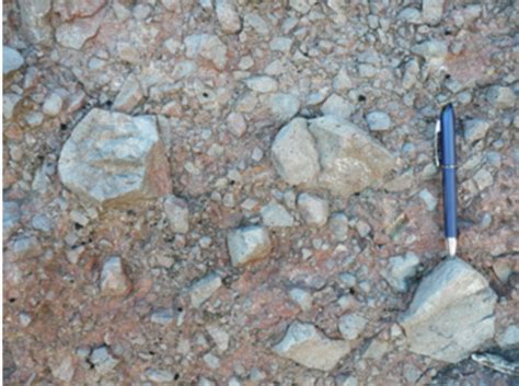 Flashcards Ch 9 Quizlet