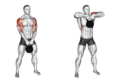 Upright Row Benefits Muscles Worked And More Inspire Us