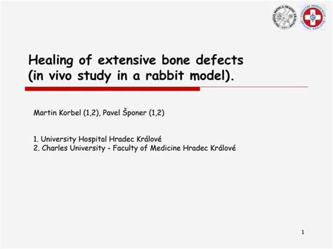 Healing Of Extensive Bone Defects In Vivo Study In A Rabbit Model Pptx