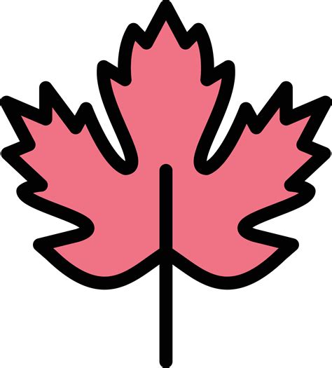 Maple Vector Icon Design Illustration 14170362 Vector Art At Vecteezy