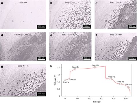 Researchers Develop High Energy Density Aqueous Battery Based On Halogen Multi Electron Transfer