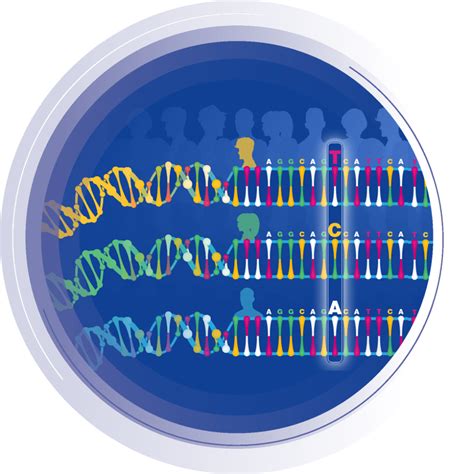 Eurofins Genomics Pop Gen Population Scale Screening Arrays