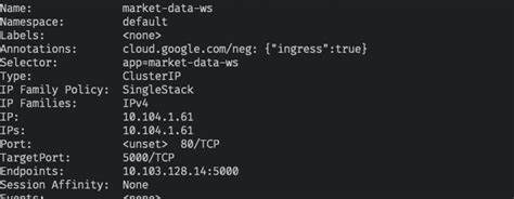 Kubernetes Websocket Service Connection Refused Between Pods Using