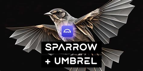 How To Connect Sparrow Wallet To Umbrel And Hugely Improve Your Privacy