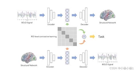 双向映射与对比学习在多模态神经影像数据上的应用双向映射模型 Csdn博客
