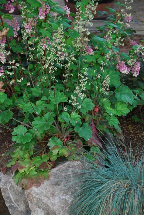 Welo What Every Architect Should Know Part 2 — Verdance Landscape Architecture