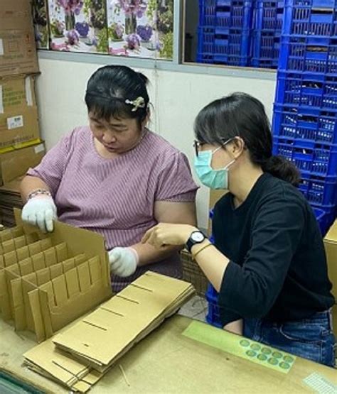 就業輔導部 社團法人新北市康復之友協會