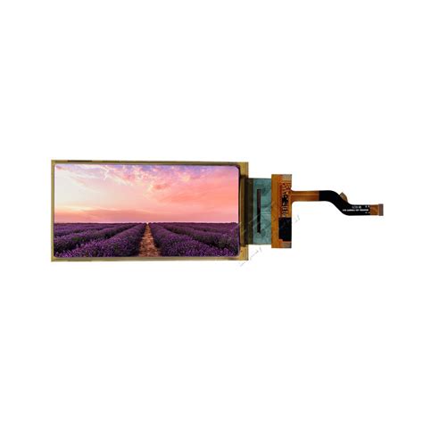 6 Inch Flexible Display AMOLED MIPI DSI 1440x2880 IFANTEK