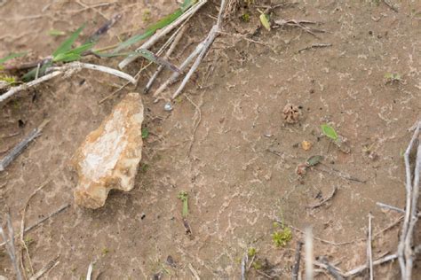 Best Arrowhead Hunting Books For 2019 Top 5 Arrowhead Book Reviews