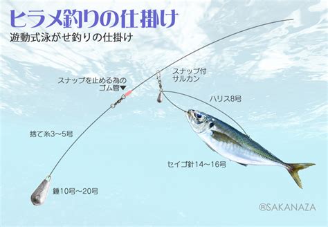 ヒラメ釣りの仕掛け図解！ルアー釣りから泳がせまで釣れるメカニズム徹底解説 Sakanaza