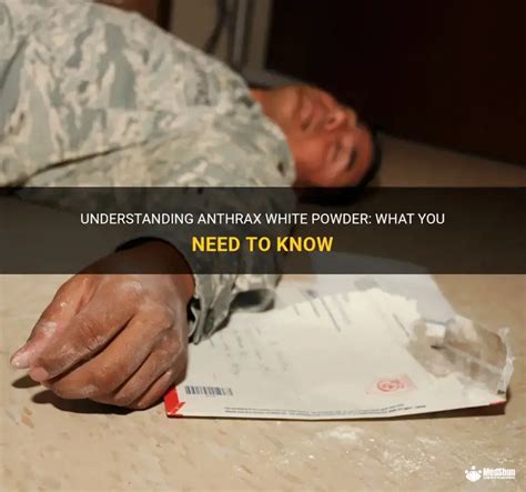 Understanding Anthrax White Powder What You Need To Know Medshun
