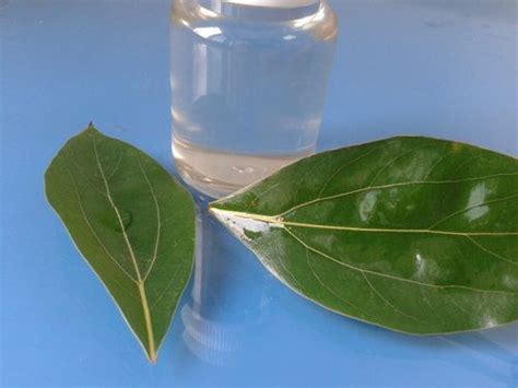 Rj 7033 Polyether Modified Trisiloxane At Best Price In Hangzhou Hangzhou Ruijiang Chemical Co