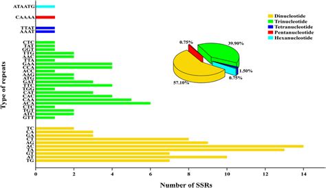 The Distribution Of Polymorphic Nuclear Simple Sequence Repeats Nssrs Download Scientific