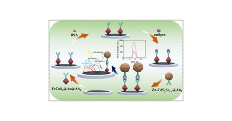 A Dual Ion Synergistic Catalysis Utilizing Zn2 Regulated Cdsyse1y Ecl