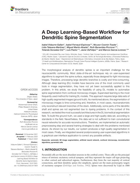 Pdf A Deep Learning Based Workflow For Dendritic Spine Segmentation