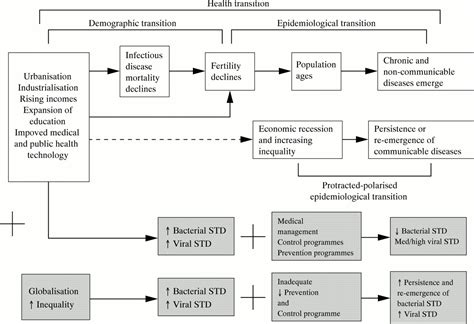 Determinants Of Std Epidemics Implications For Phase Appropriate